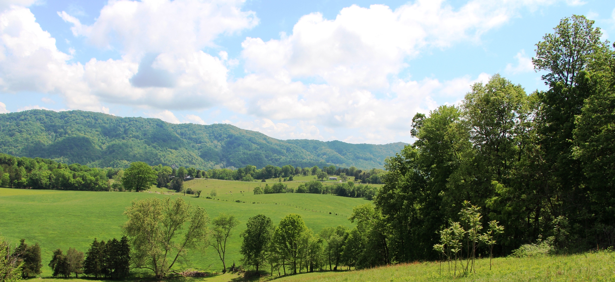 Visiting Virginia's Cavin Farms in the Appalachian Mountains