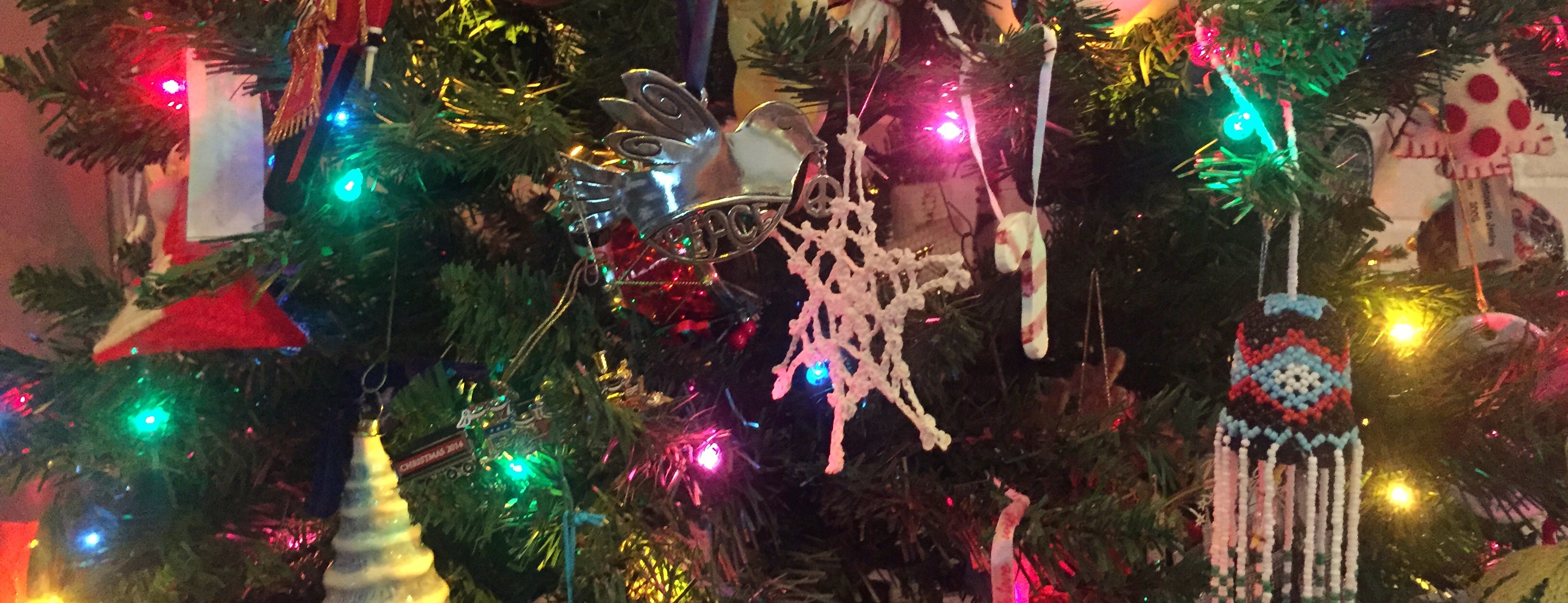 Celebrating Traditions and Making Memories