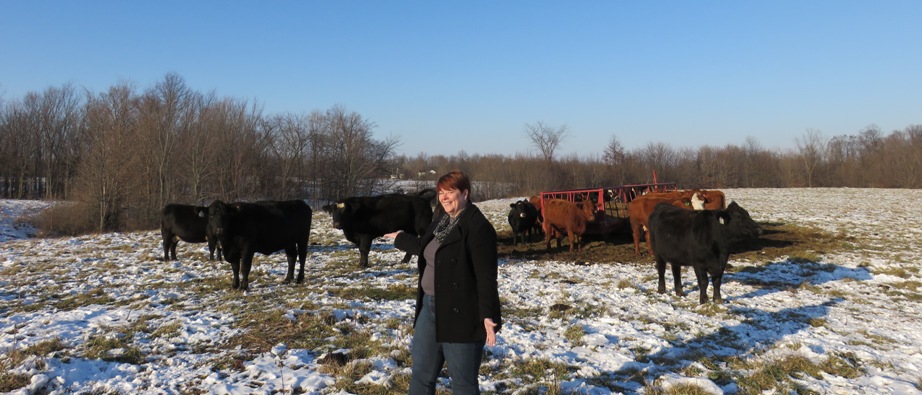 Checking Out Heim Dairy, Haley & Helms Farms